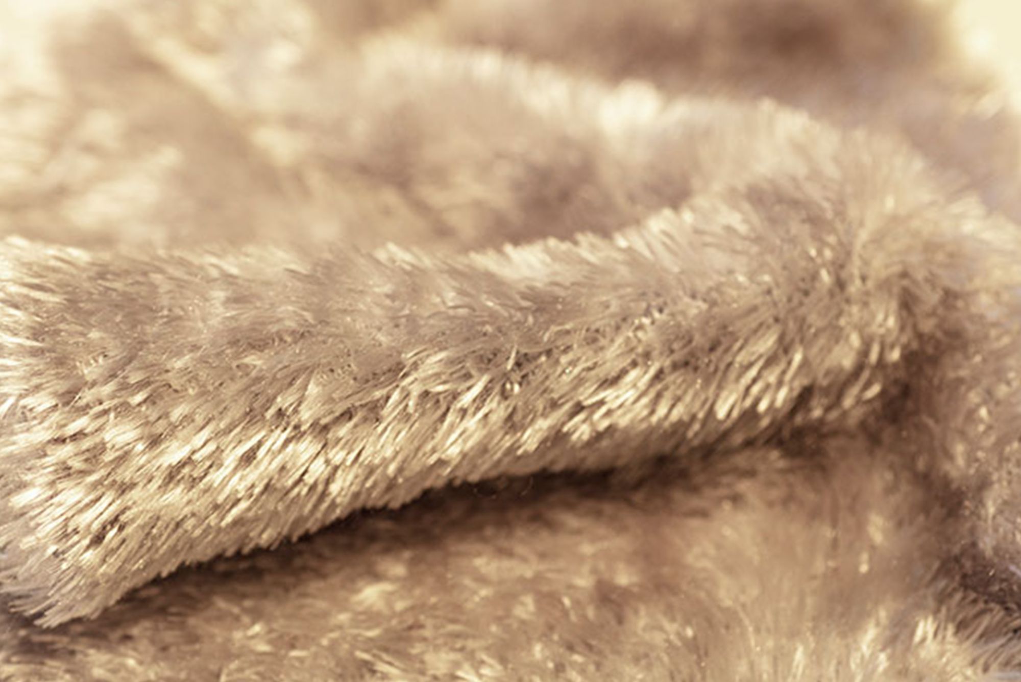 Naia Filament Fulfills a Demand for Sustainable Fashion